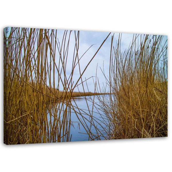 Canvas painting - Reeds on a lake | ARC PRINT